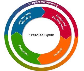 Diagram with Exercise Cycle in middle. Four arrows around middle ...